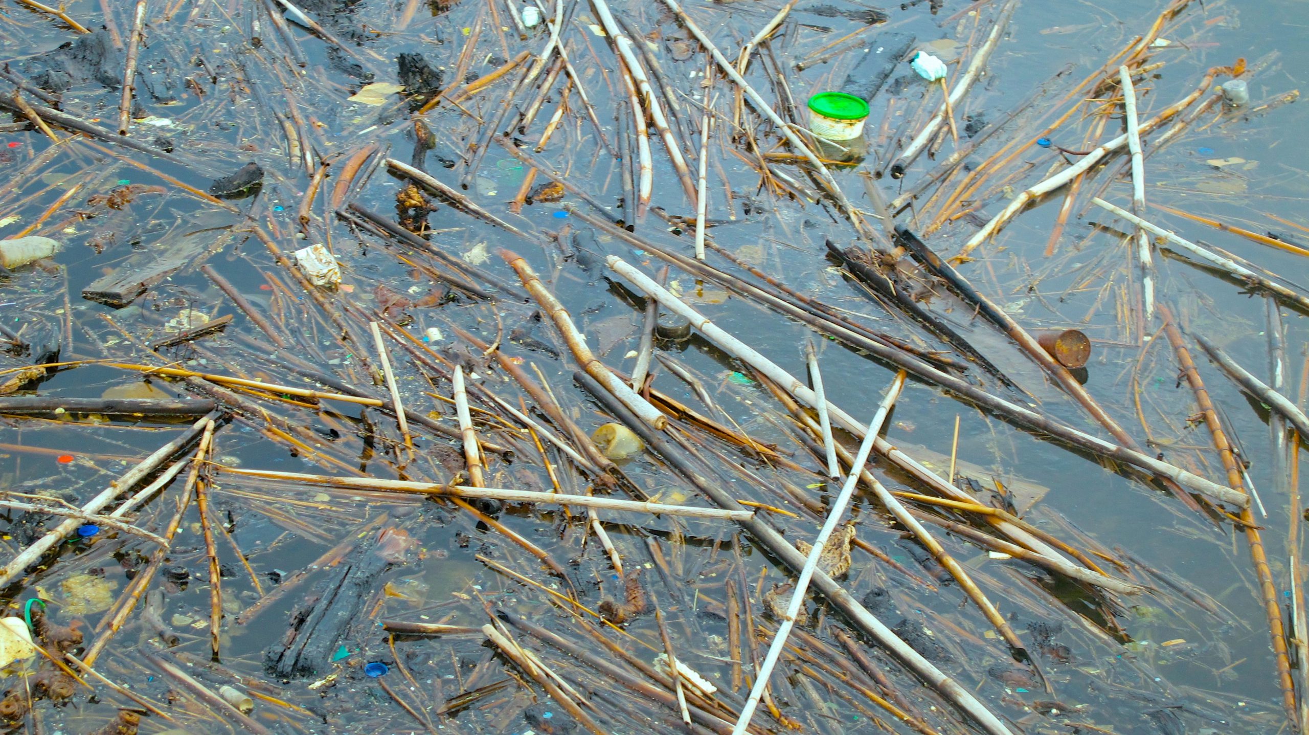 黑色的 PLASTIC SHIT – Honevo